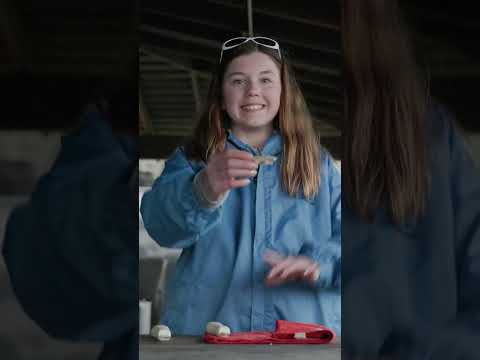 Join Rob & Nicole Endsley on a family adventure! – Engines.com