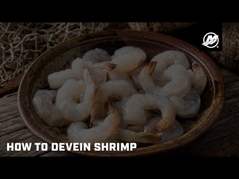 Cook Your Catch: How to Devein Shrimp – Engines.com