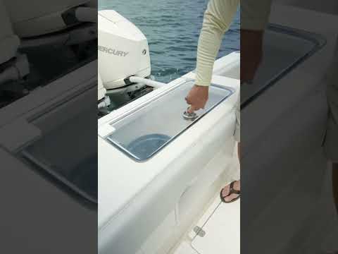 Take a look around Captain Rush Maltz's SeaVee! – Engines.com