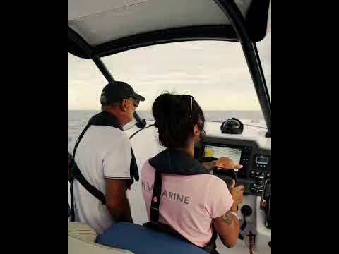 Bring the fun! – Engines.com