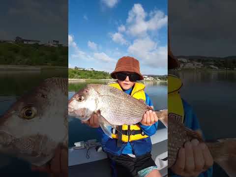 Who plans your adventures? – Engines.com