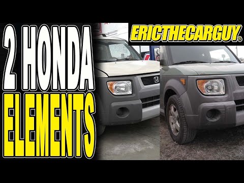 I Just Bought 2 Honda Elements – Engines.com