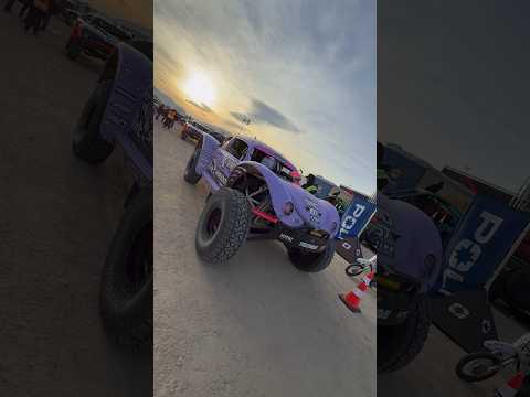 Meet JAWS the Trophy Bug – Engines.com