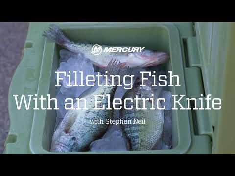 How to Fillet Fish with an Electric Knife – Engines.com